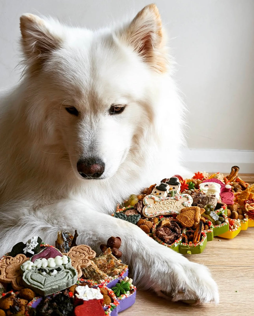 Watch Episode 5 of the Sodapup Enrichment Lab Podcast with Liyisa Li ...